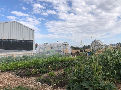 The Farm Project
