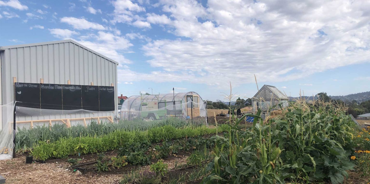 The Farm Project